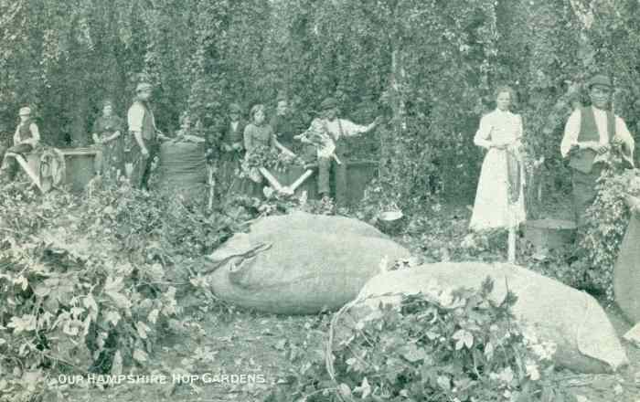 'Sweet Fanny Adams': How a Horrific Child Murder Became English Slang ...