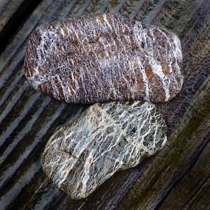 Common Beach Stone Identification (Including Dolomite, Quartz ...