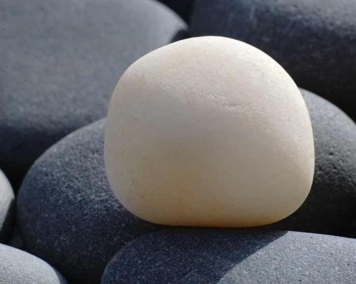 Common Beach Stone Identification (Including Dolomite, Quartz ...