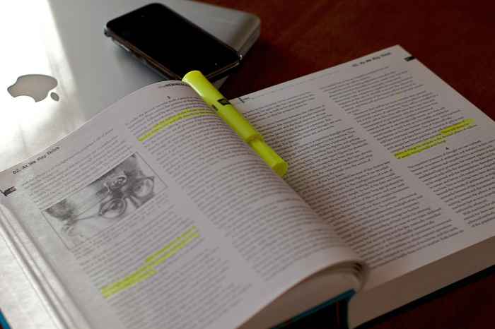 Display Code Snippets in MS Word With These Set-Ups to Keep Formatting ...