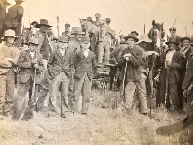 Kansas Wolf Hunts - HubPages