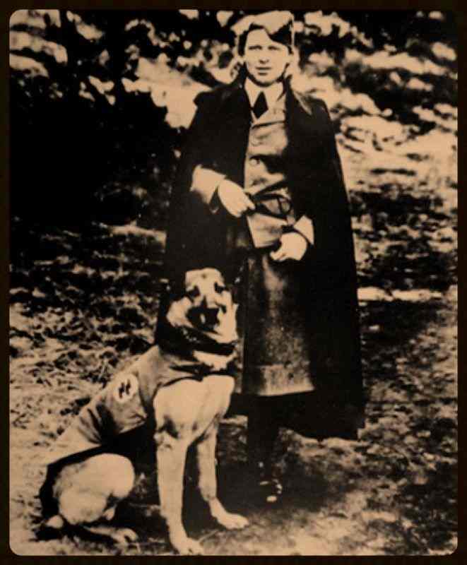 Bill O'Reilly "Killing the SS" Book Review - HubPages