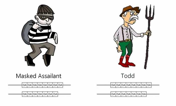 How Does Forensic Dna Profiling Work? - HubPages