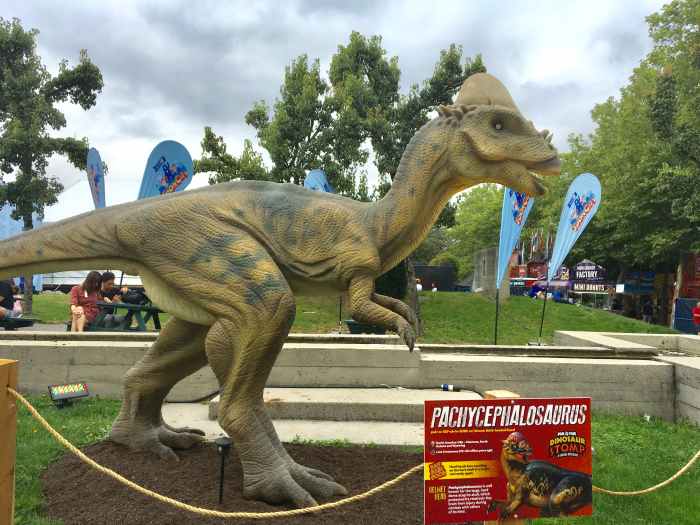 An Animatronic Dinosaur Exhibit and Facts About the Real Reptiles ...