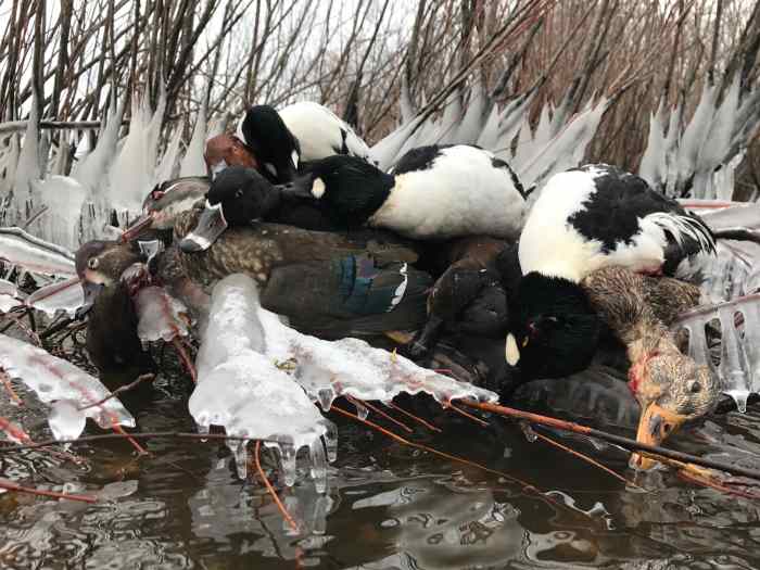 The Perfect, Tragic Armistice Day Storm of 1940 - Owlcation