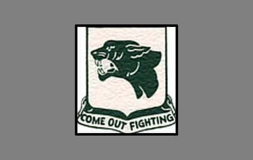 World War 2 History: The Black Panthers—The Segregated 761st Tank ...