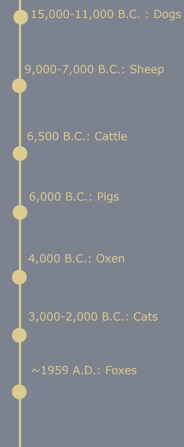 How the Silver Fox Was Domesticated - Owlcation