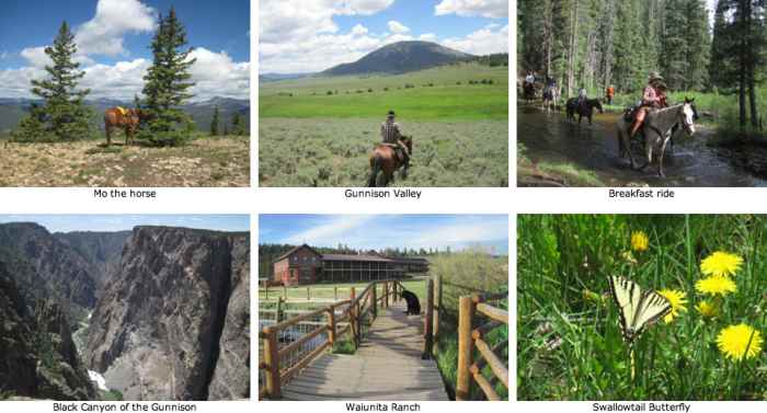 How to Align Images Side-by-Side Using HTML - Owlcation