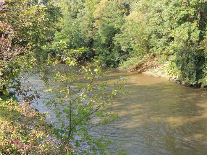 William Cullen Bryant and Two of His Poems: "To a Waterfowl" and ...