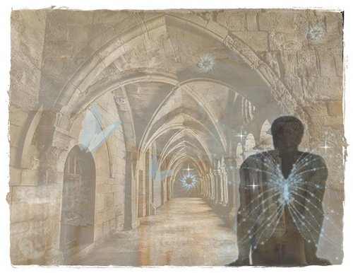 What Is the Jungian Animus Archetype? - Owlcation