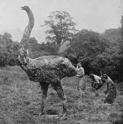 The 15 Most Beautiful Extinct Animals to Ever Live - HubPages