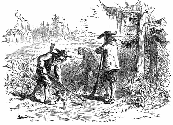 How the Motivations of the Colonists Impacted Colonial Life - Owlcation