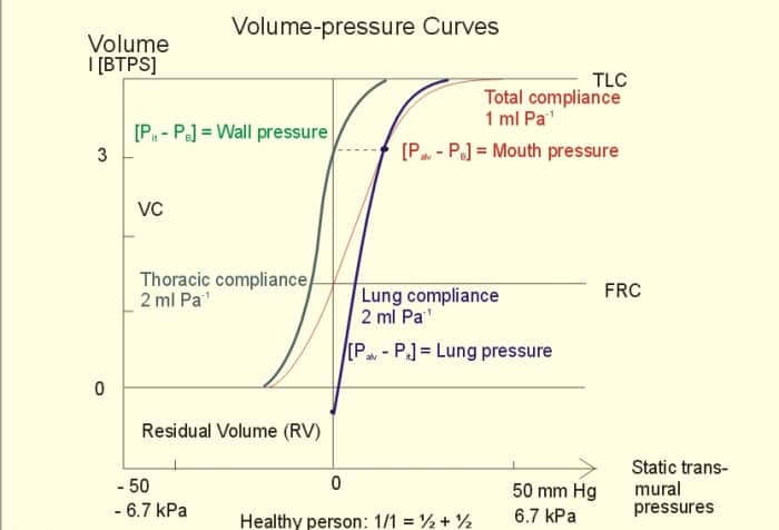 Lung Pressures and Lung Compliance - Owlcation