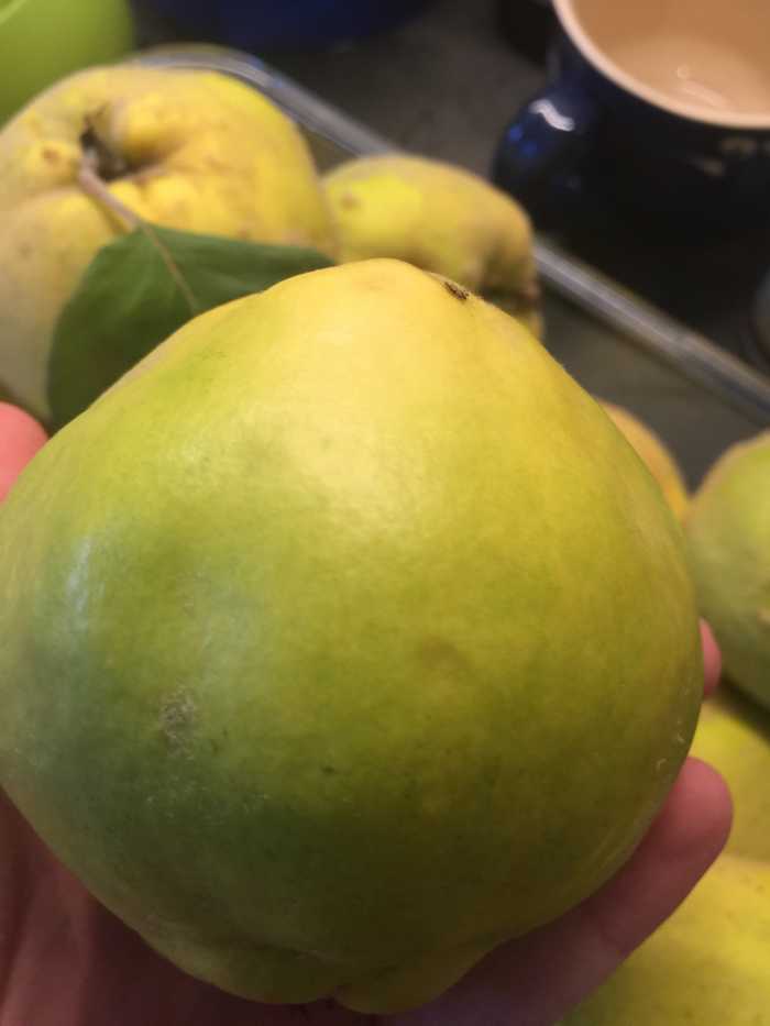 Christmas-Spiced Quince Jelly Recipe - Delishably