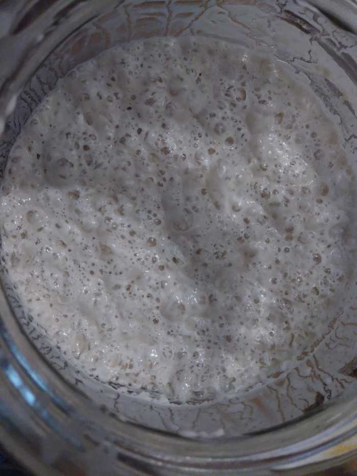 Sourdough Basics: How to Make and Maintain a Starter - HubPages