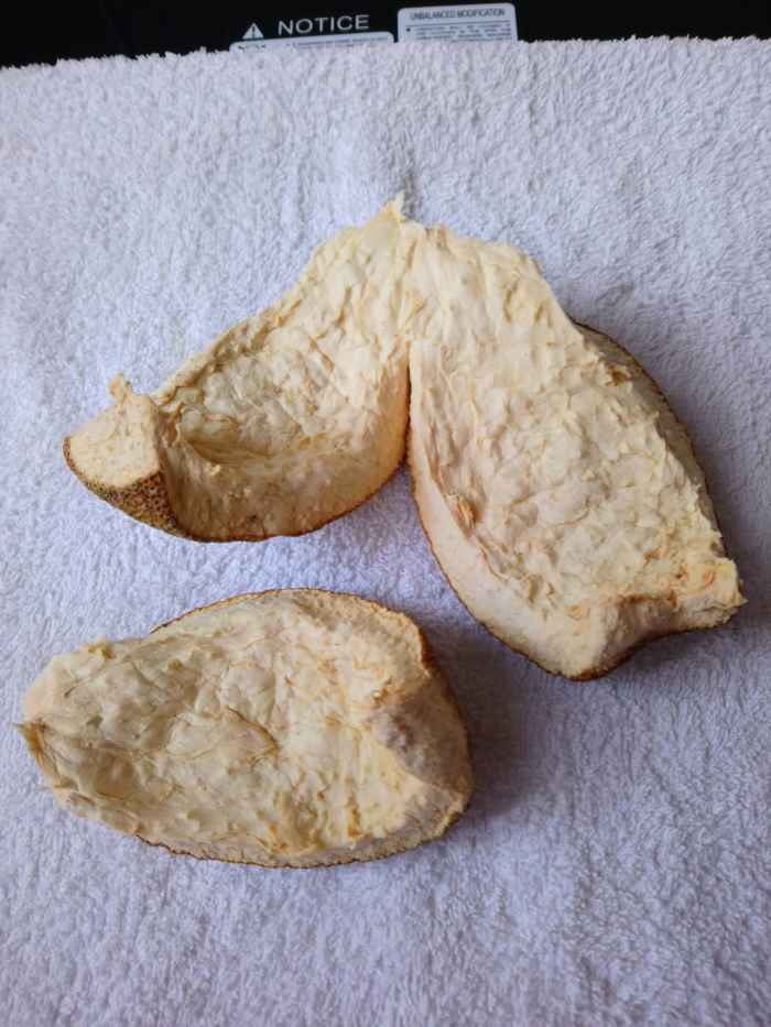 Use Pomelo Skins as a Deodarant and Insect Repellent - HubPages