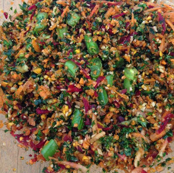 How to Care for Indian Ringneck Parrots - HubPages