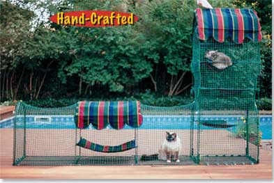 Caging Cats: When and Why It's Sometimes Necessary - PetHelpful