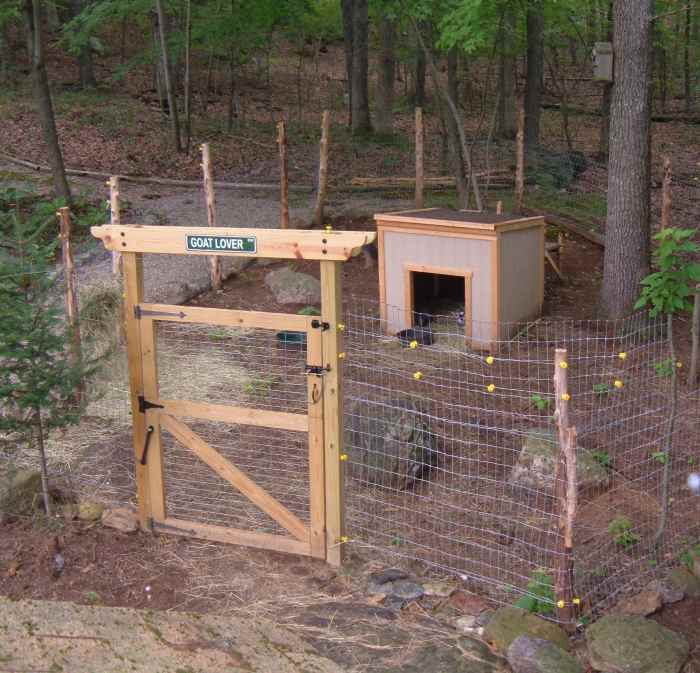 How We Built Our Pet Pygmy Goats Pen - HubPages