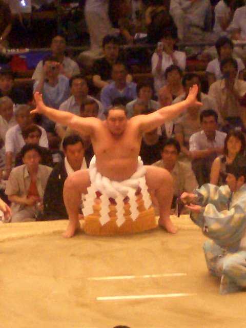 The Japanese Tosa Dog Breed and Why They Are Banned - PetHelpful