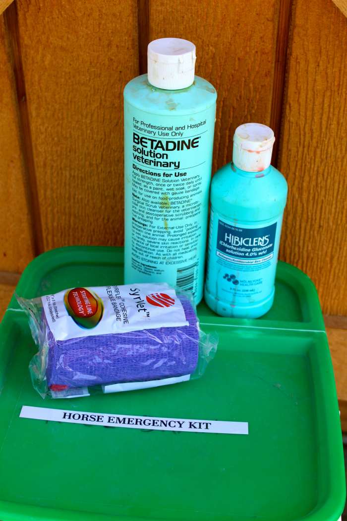 The Essential Foaling Kit for the First-Time Mare Owner - HubPages