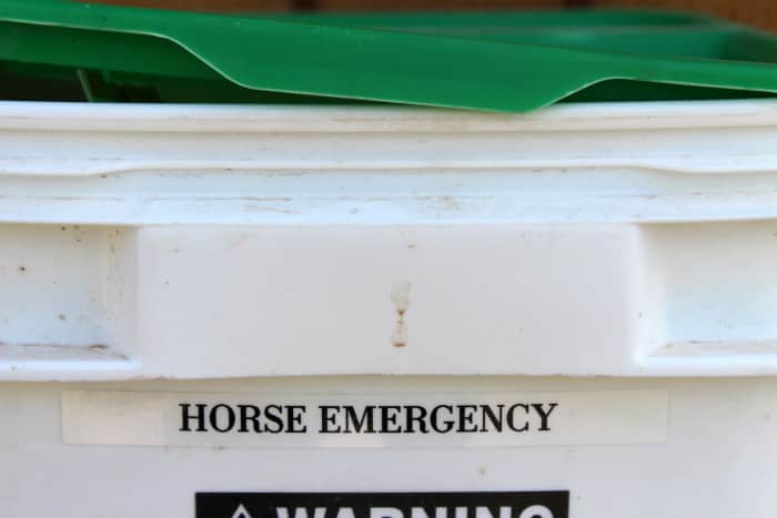 The Essential Foaling Kit for the First-Time Mare Owner - HubPages