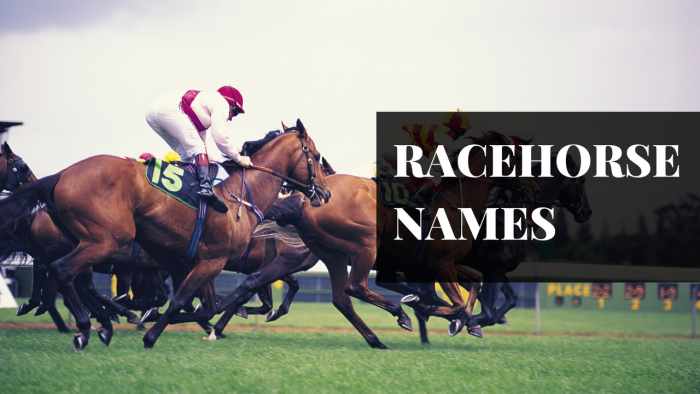 250+ Awesome Horse and Racehorse Names - HubPages