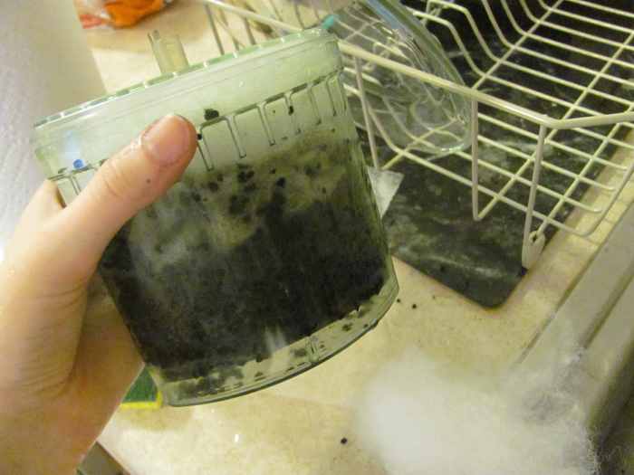 What Happened to the Box/Corner Filter for Fish Tanks? - PetHelpful