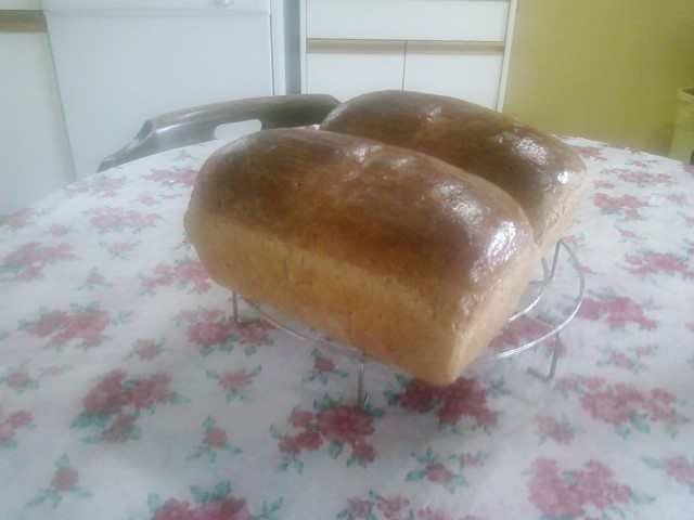 My Life as a Remote Logging Camp Cook - HubPages