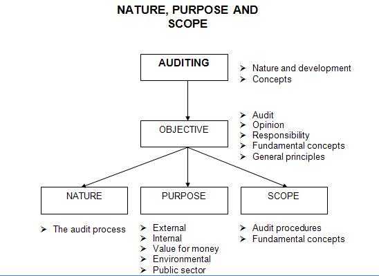 The Nature, Purpose and Scope of an Audit and Review - HubPages