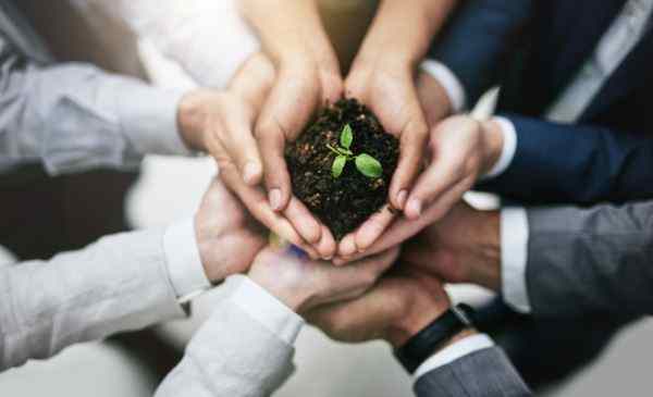 Workplace Culture: Achievement vs. Nurturing Leadership - HubPages