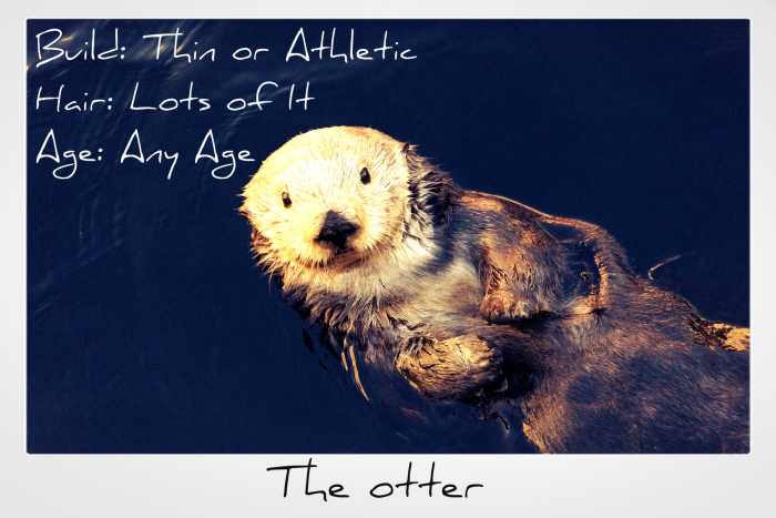 Gay Men: Are You a Jock, Otter, Bear or Wolf? - HubPages