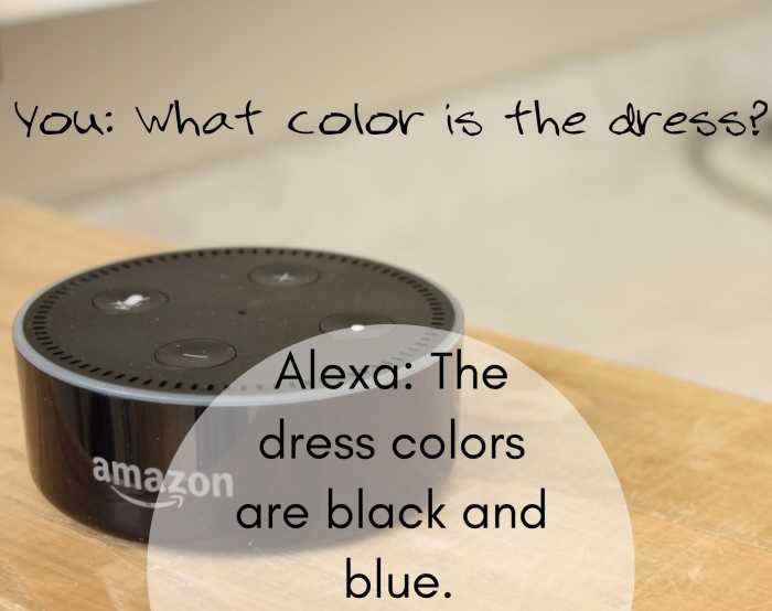 200+ Funny Amazon Alexa Easter Eggs - HubPages