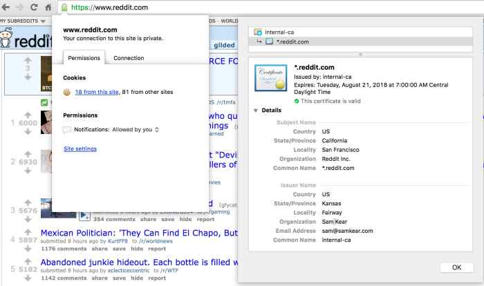 Intercepting HTTPS Traffic Using the Squid Proxy Service in pfSense - HubPages