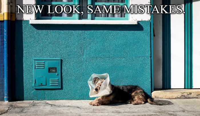 100+ Funny Self-Deprecating Quotes and Caption Ideas - HubPages