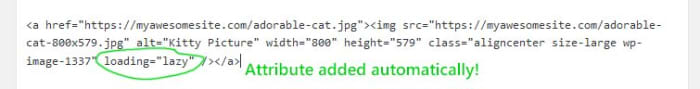 Native Lazy Loading for Wordpress Images - HubPages