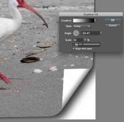 Page Curl Effect in Photoshop Elements - HubPages