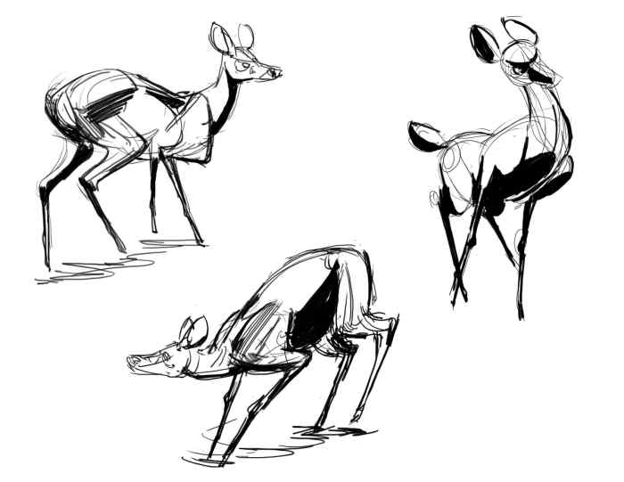 How to Draw Animals - HubPages
