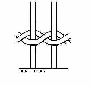 Beginner's Guide to Basic Basket Weaving - HubPages