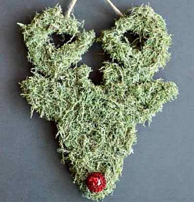 41 Outstanding Moss Craft Ideas - HubPages