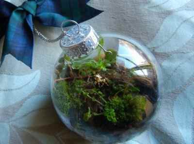41 Outstanding Moss Craft Ideas - HubPages