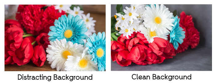 How to Isolate Your Subject and Eliminate Distraction With a Photo ...