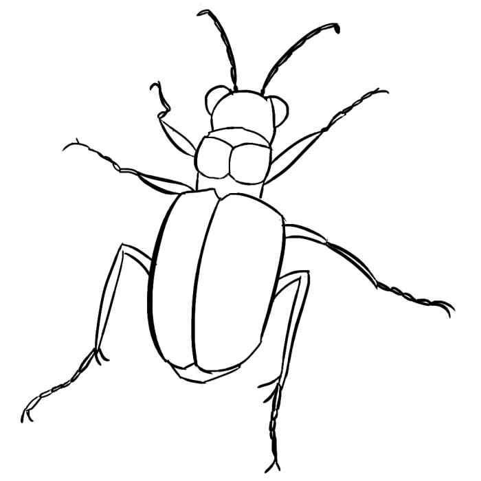 How to Draw Anything You See - HubPages