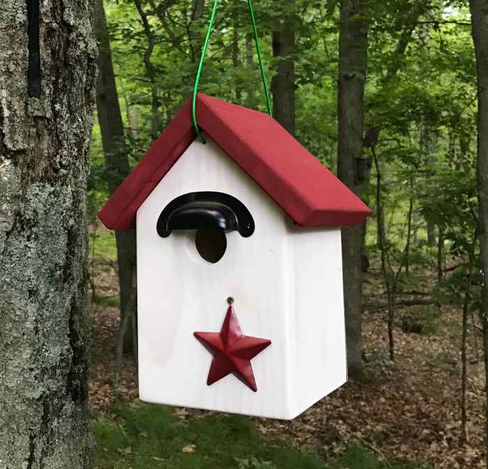 How to Make a Spy Window Birdhouse for Watching Baby Birds - HubPages
