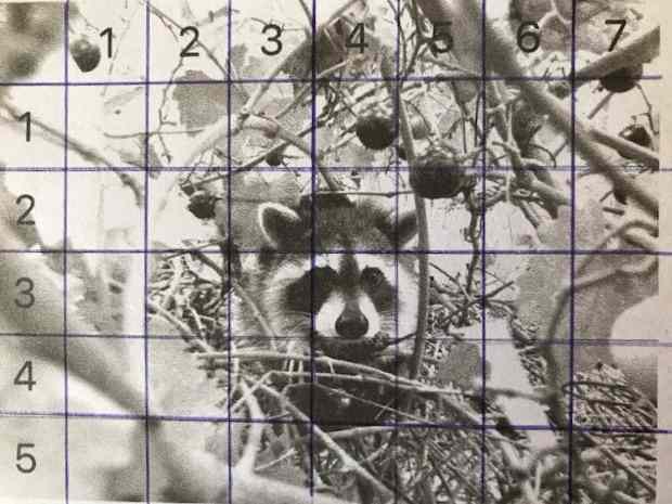 How to Paint Wildlife in Mixed Media - FeltMagnet