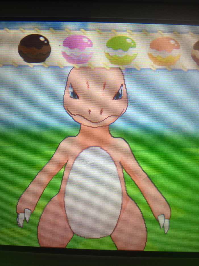 "Pokémon X and Y": Poké Puffs - HubPages