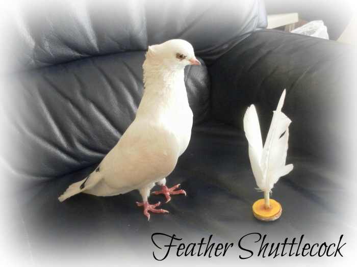 How to Make a Chinese Feather Shuttlecock (Jianzi) for Kicking - HubPages