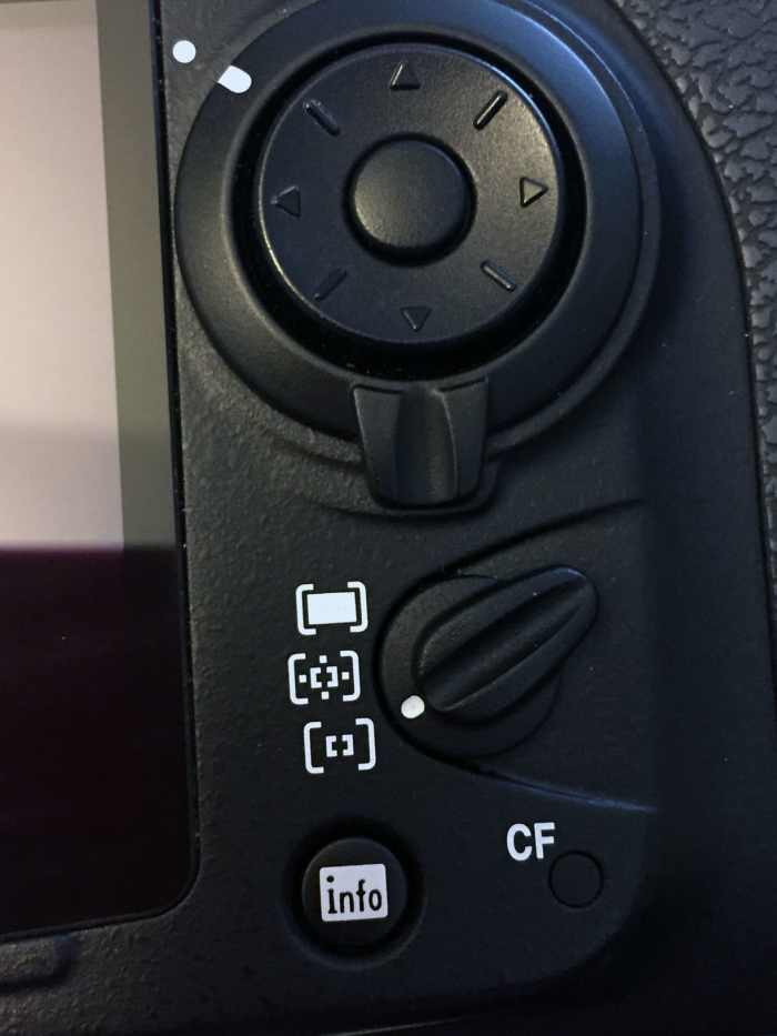 Advanced Photography Tips: Back Button Focus - HubPages