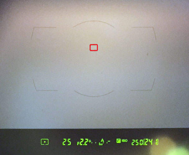 Advanced Photography Tips: Back Button Focus - HubPages