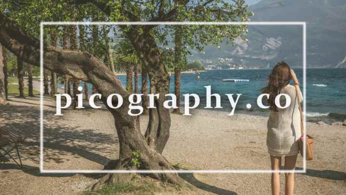 12 Sites to Get Fabulous Free Stock Images - HubPages